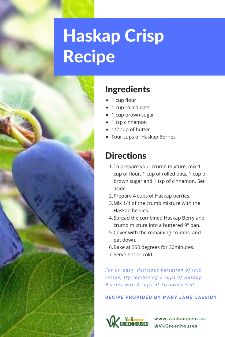 Haskap Crisp Recipe – Vankampens Greenhouses