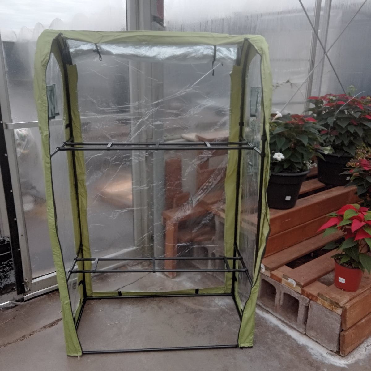 Booster Frame - "Tomato Crop" (100x50x160cm) – Vankampens Greenhouses