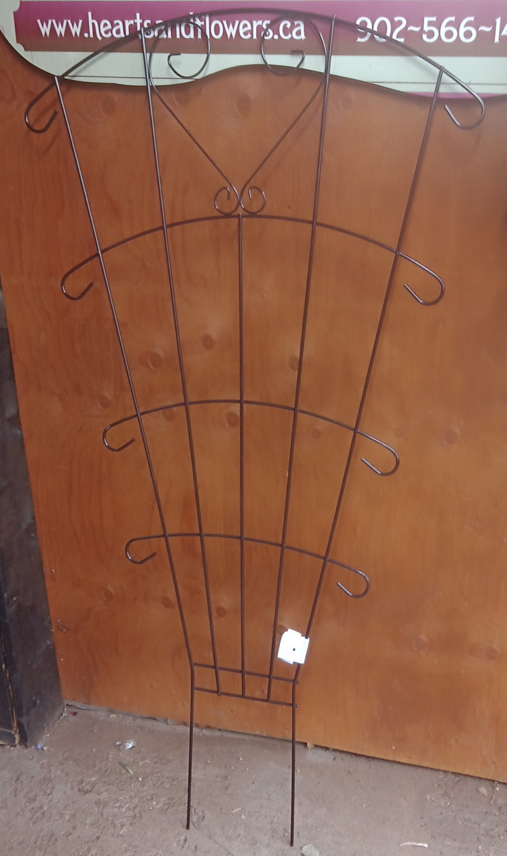 Versailles Trellises – Vankampens Greenhouses